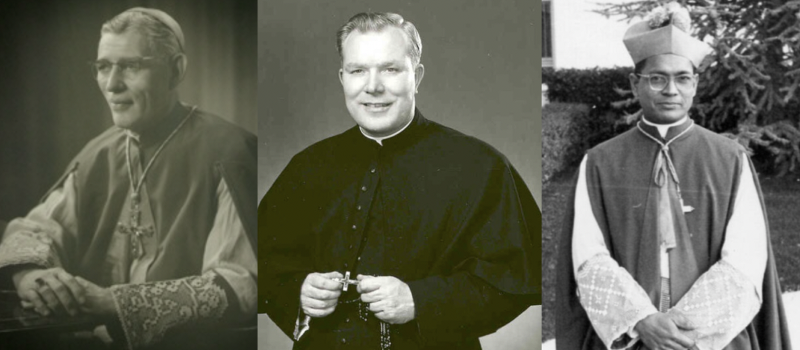 Three Alumni Causes of Canonization - Irish Rover