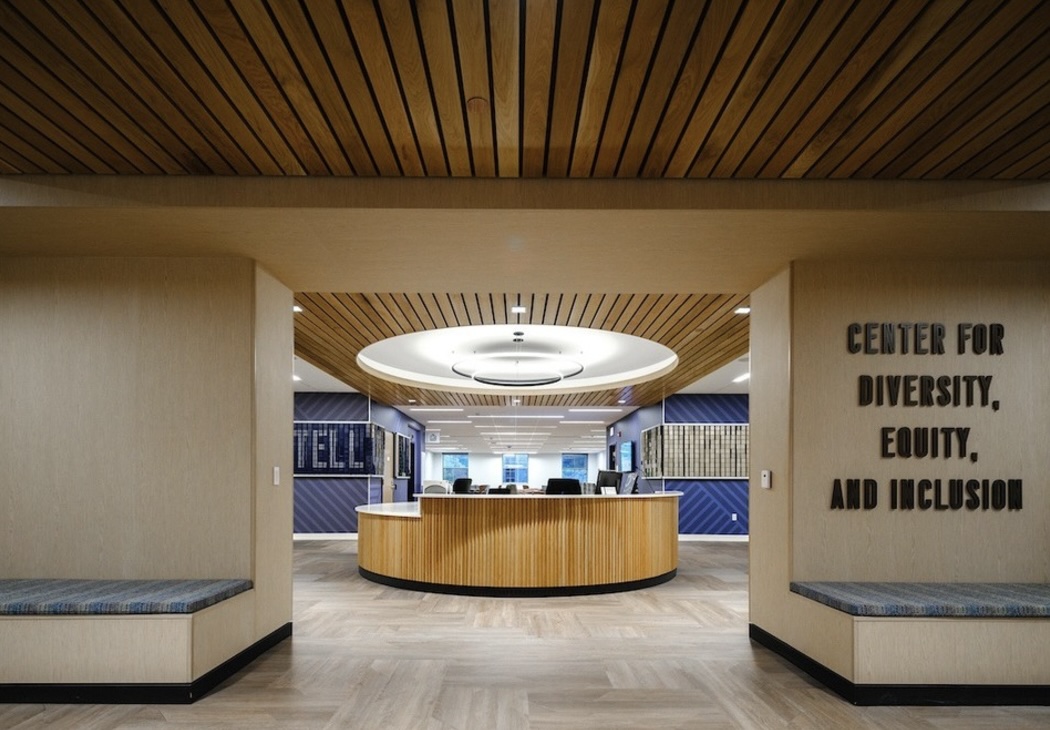 Goodbye, DEI? - Irish Rover