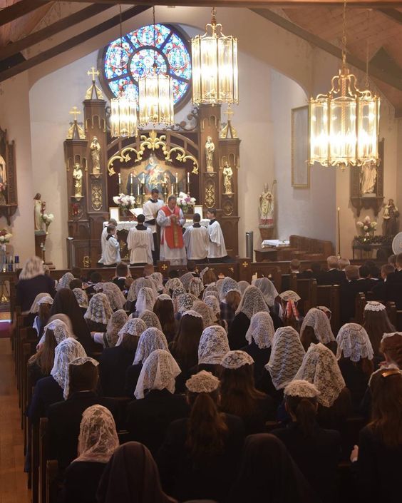 The Veil Of Tradition - Irish Rover